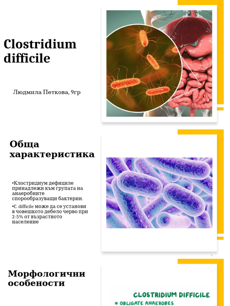 Clostridium Difficile Microbiology | PDF
