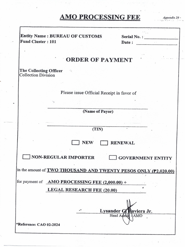 Amo Order of Payment | PDF