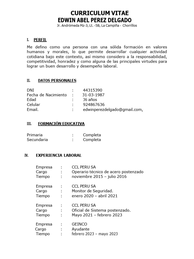 CV Abel Perez Delgado | PDF | Documento de identidad | Información