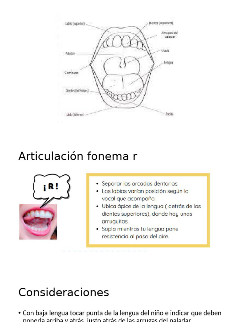 Articulación del fonema /r/ en niños | PDF