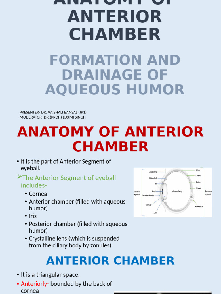 Anterior Chamber Anatomy & Aqueous Humor | PDF | Cornea | Vein