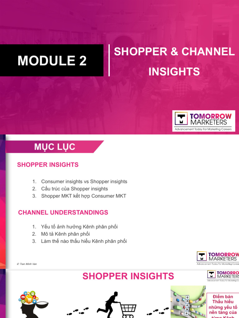 Module 2 - Shopper & Channel Insights - TM Foundation | PDF