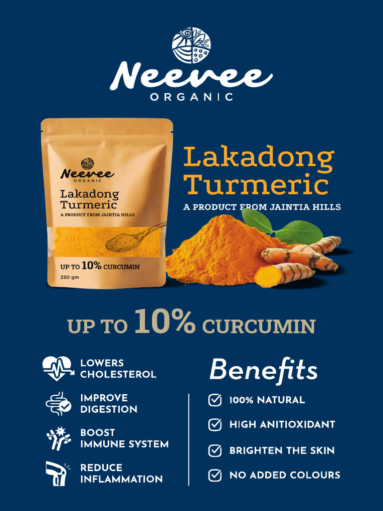 Neevee Flyer - Outline | PDF
