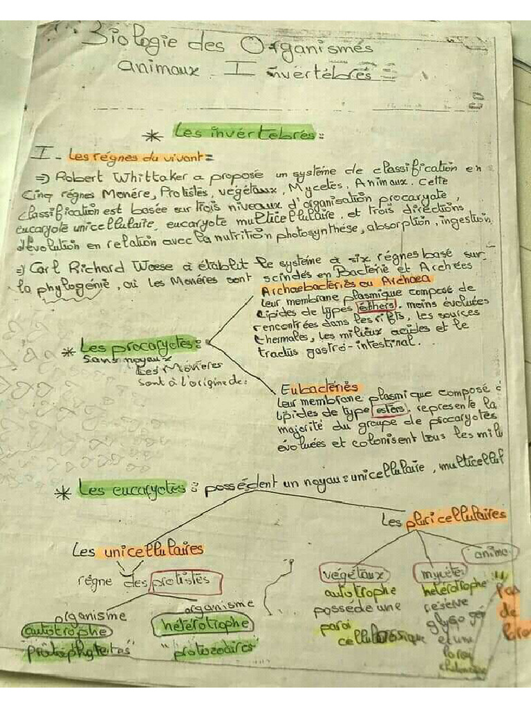 Résumé2 Biologie Animale | PDF
