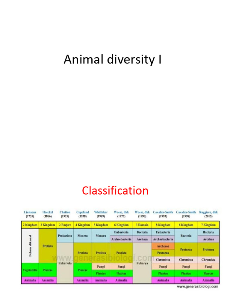 Animal Diversity 1.Pptx | PDF