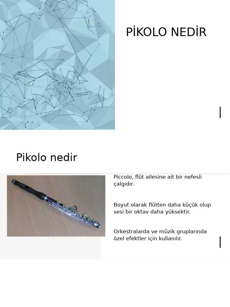 Pikolo Nedir | PDF