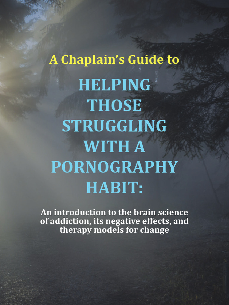 Chaplains Guide Interactive PDF | PDF | Reward System | Dopamine
