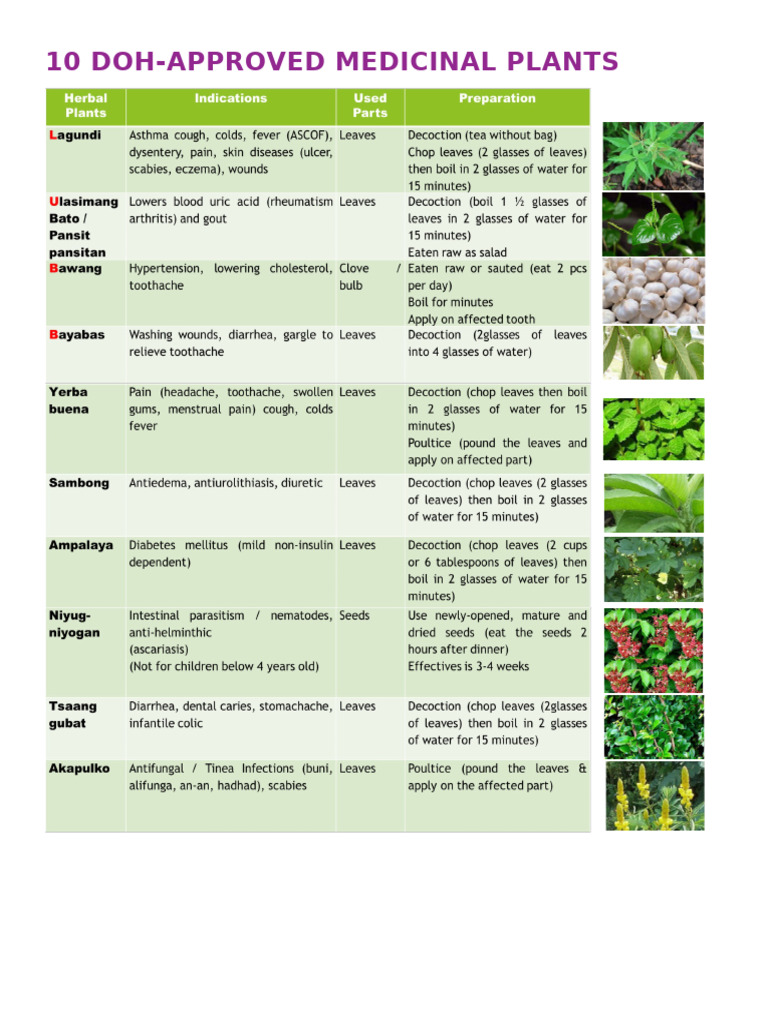 DOH-Approved Medicinal Plants Guide | PDF