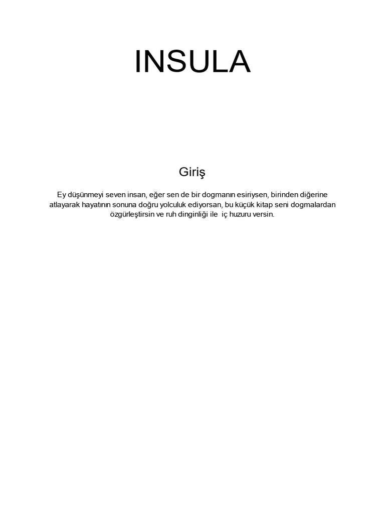 Insula - Google Dokümanlar | PDF