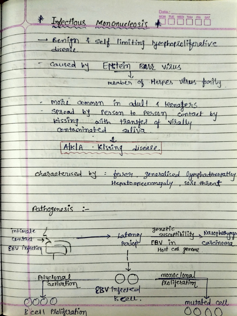 Infectious Mononucleosis | PDF