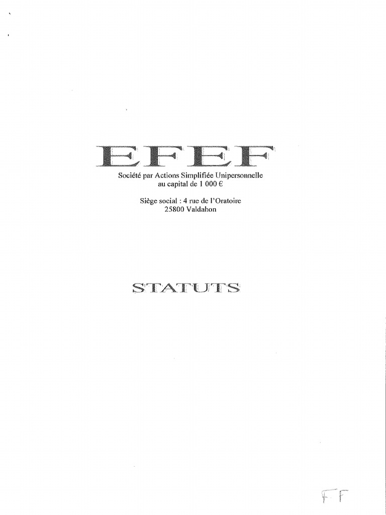 EFEF - Copie Des Statuts | PDF