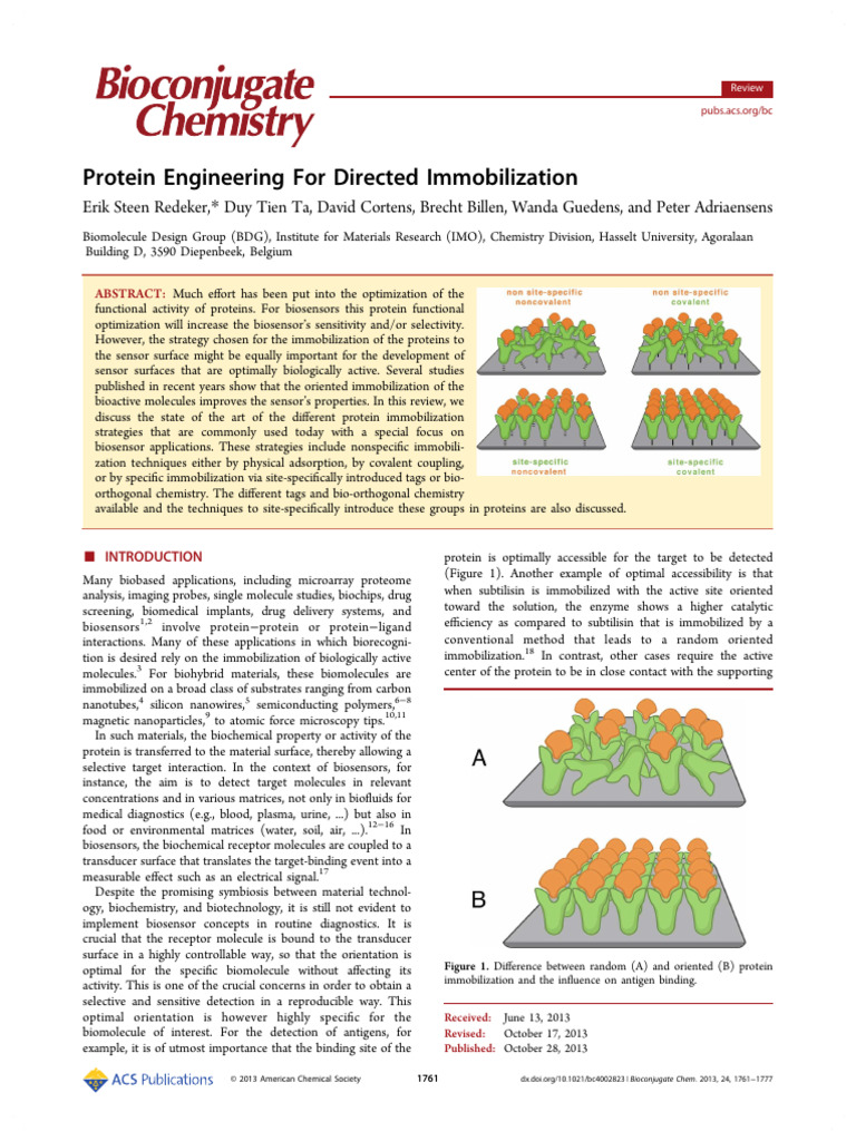 Protein Engineering for Directed Immobilization(LATEX BEADS) | PDF | Proteins | Biosensor