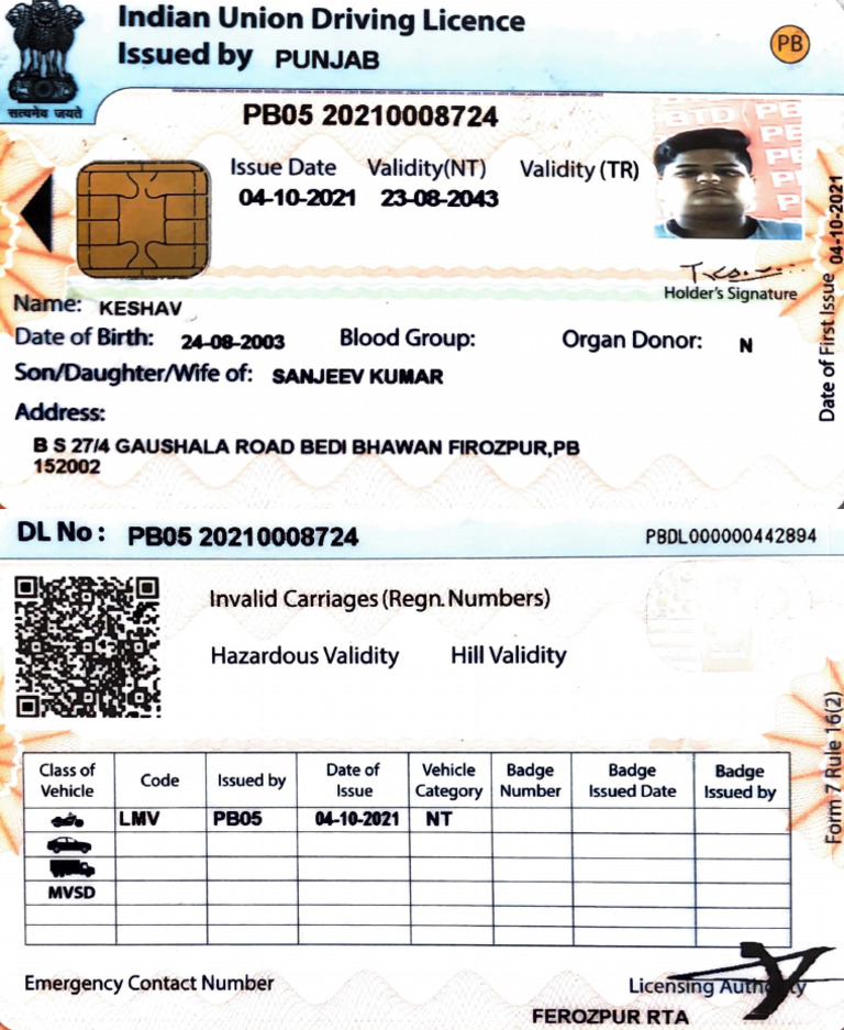 Driving Lisence | PDF