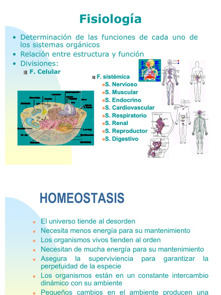 Homeostasis | Homeostasis | Membrana celular