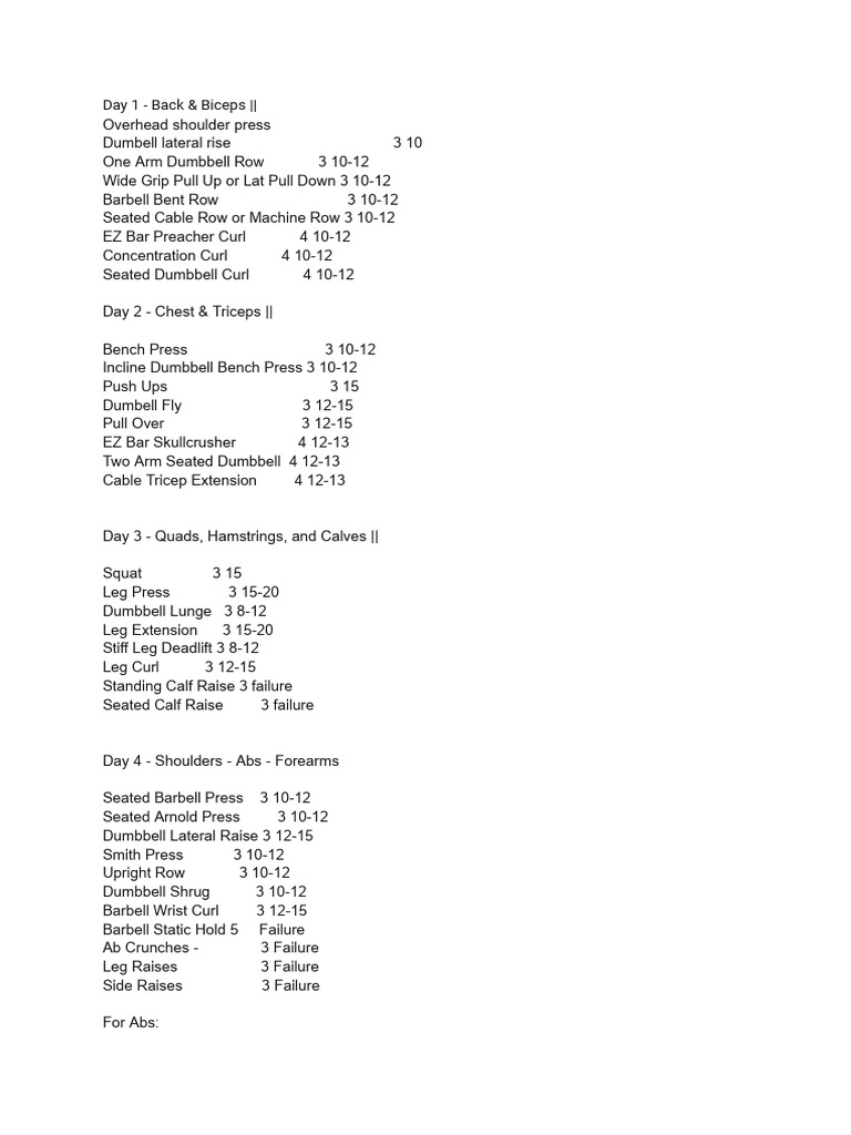 4 Day Workout Plan | PDF