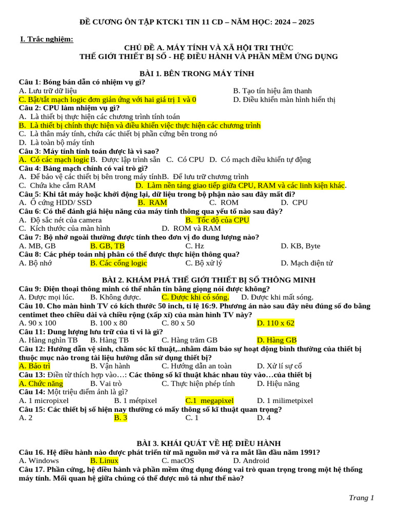 HS -DE CUONG KTCK1-TIN11-24-25 | PDF