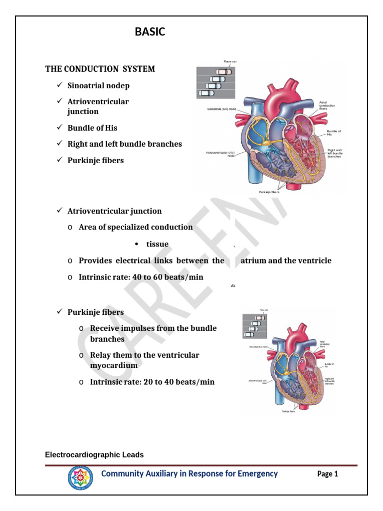 Chapter 3 ECG Principles | PDF | Electrocardiography | Heart