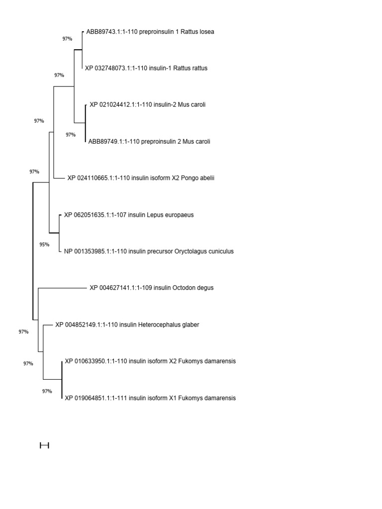 Insulin Phylogeny Tree | PDF