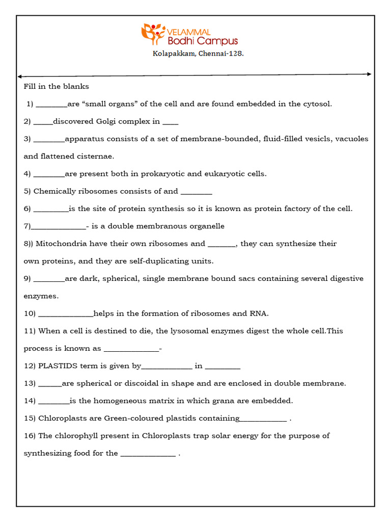 Cell Structure Fill-in-the-Blanks Worksheet | PDF | Cell (Biology ...