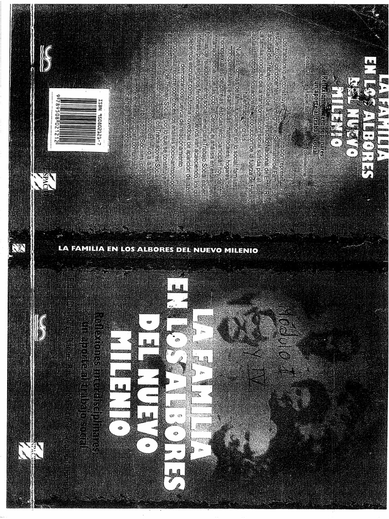 3 - de JONG La Familia en Los Albores Del Nuevo Milenio | PDF