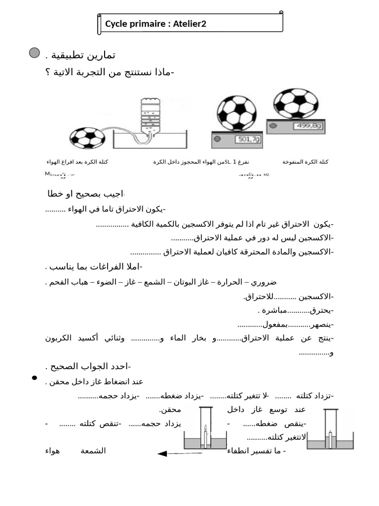 Cycle Primaire 2 | PDF