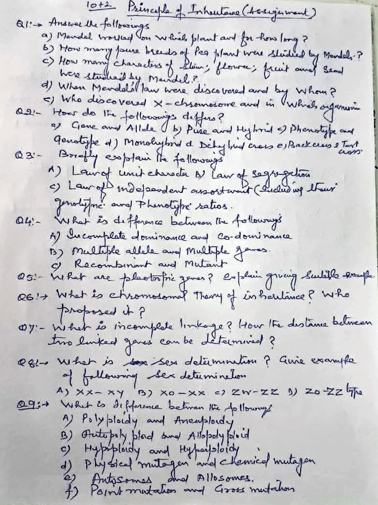 Principal of Inheritance Assignment | PDF