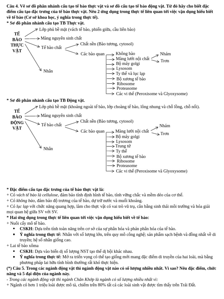 CSTN&XH (ĐỌC THÊM) | PDF