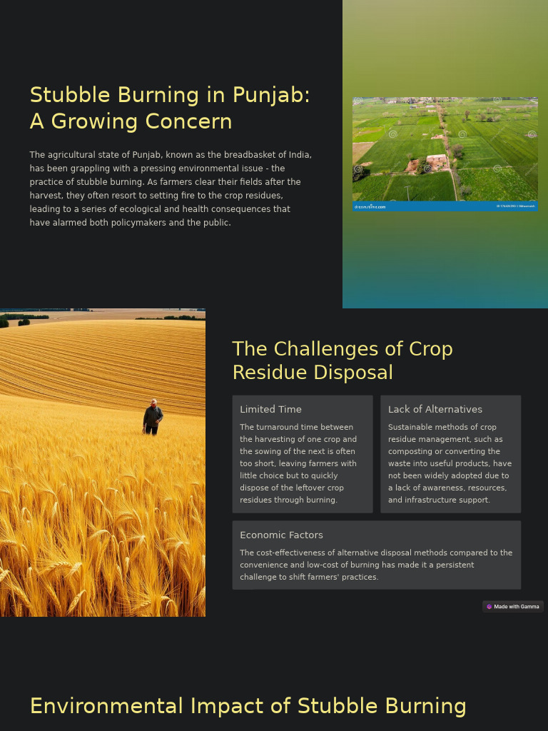 Stubble Burning Crisis in Punjab: Solutions | PDF | Agriculture ...