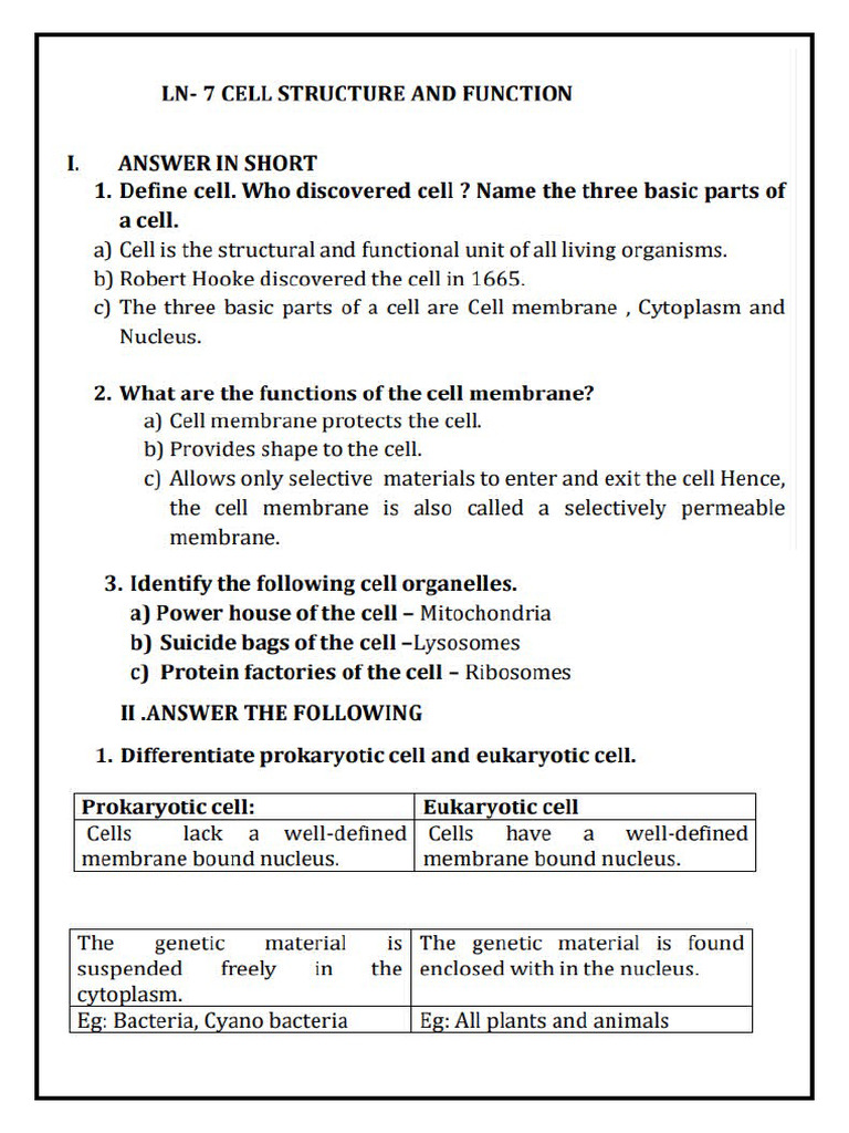 Cell | PDF
