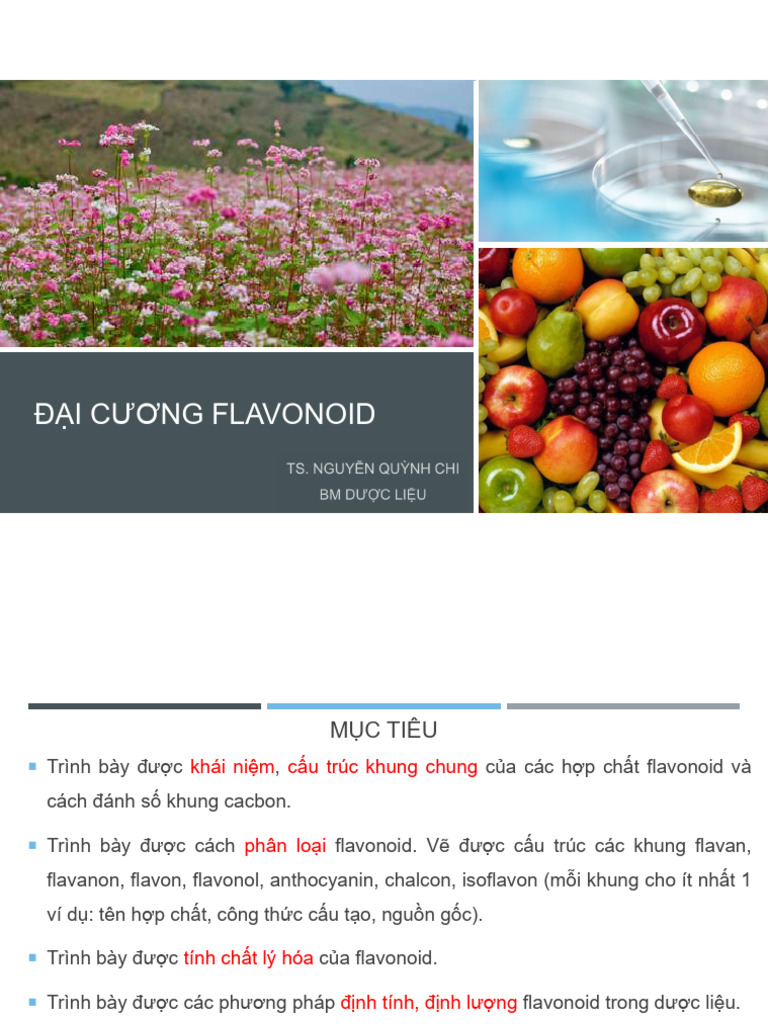 DL chứa flavonoid | PDF