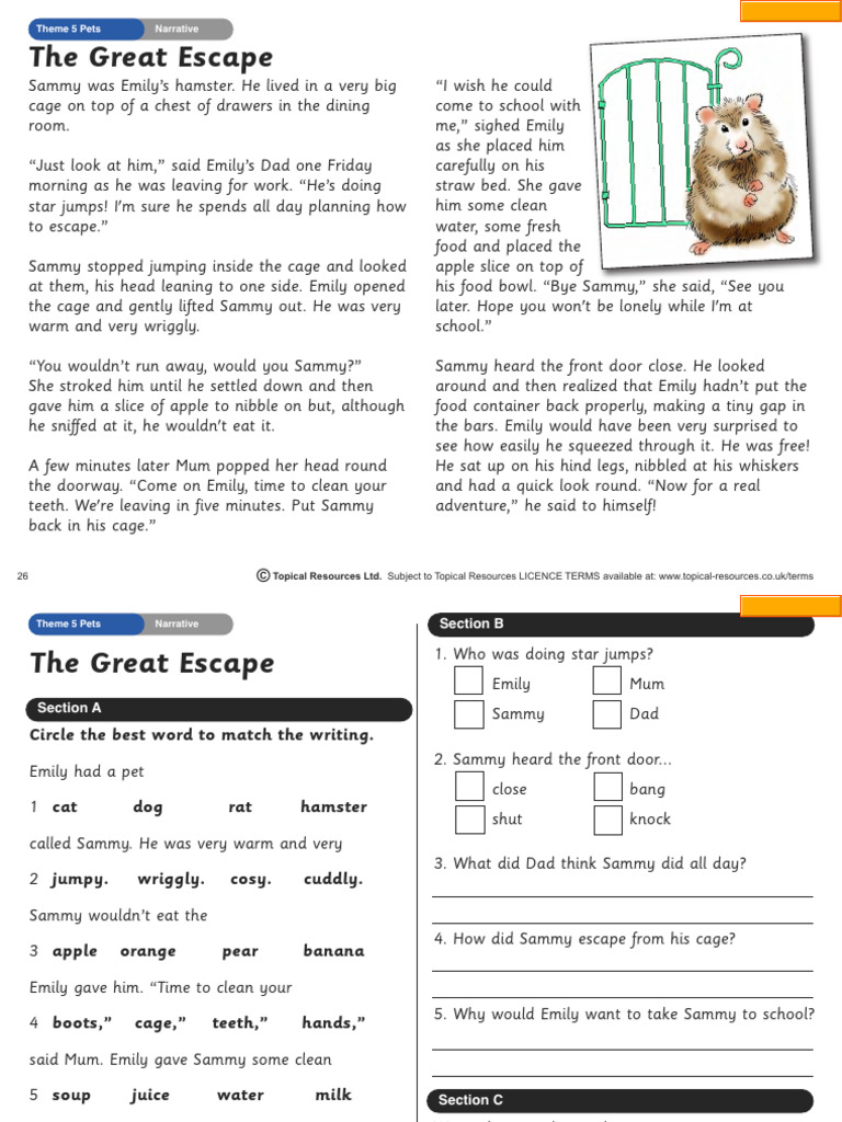 Sammy the Hamster's Great Escape | PDF