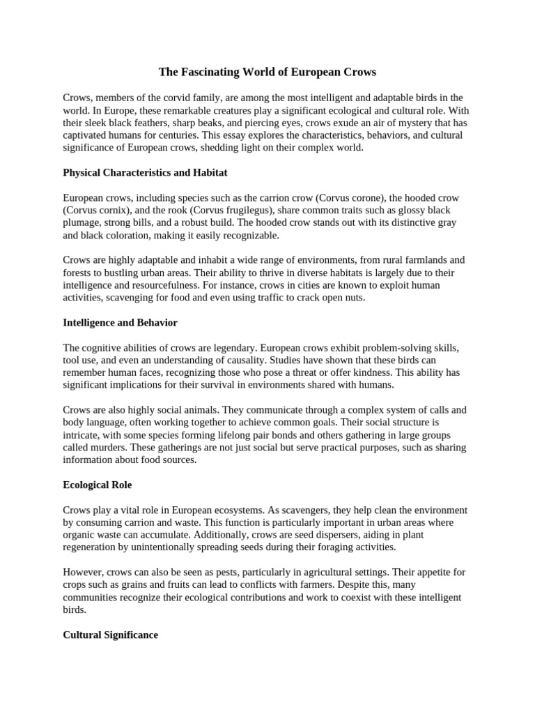 European Crows | PDF | Birds