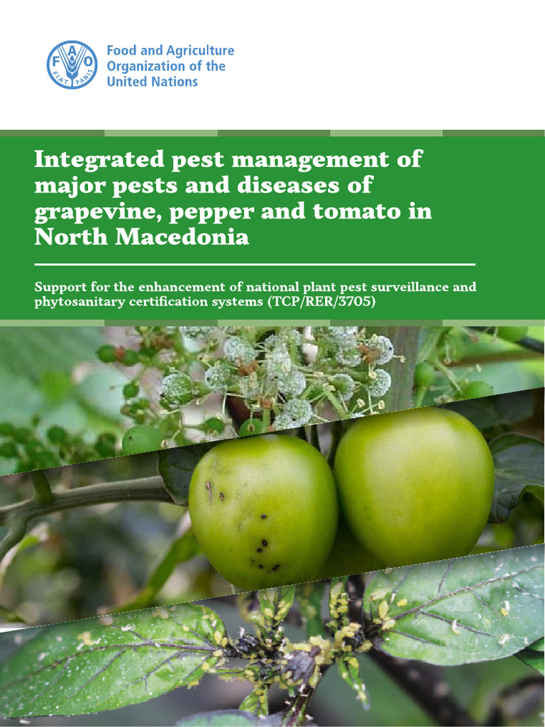 has the pests names | PDF | Vitis