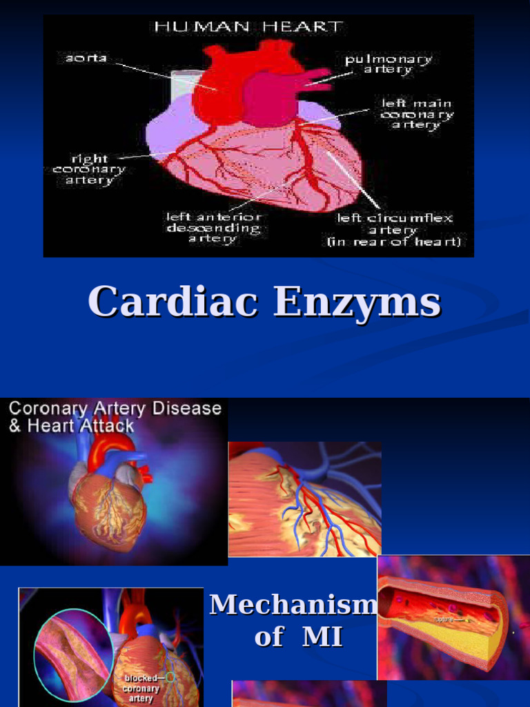 Cardiac enzymes | PDF | Clinical Medicine | Medical Specialties