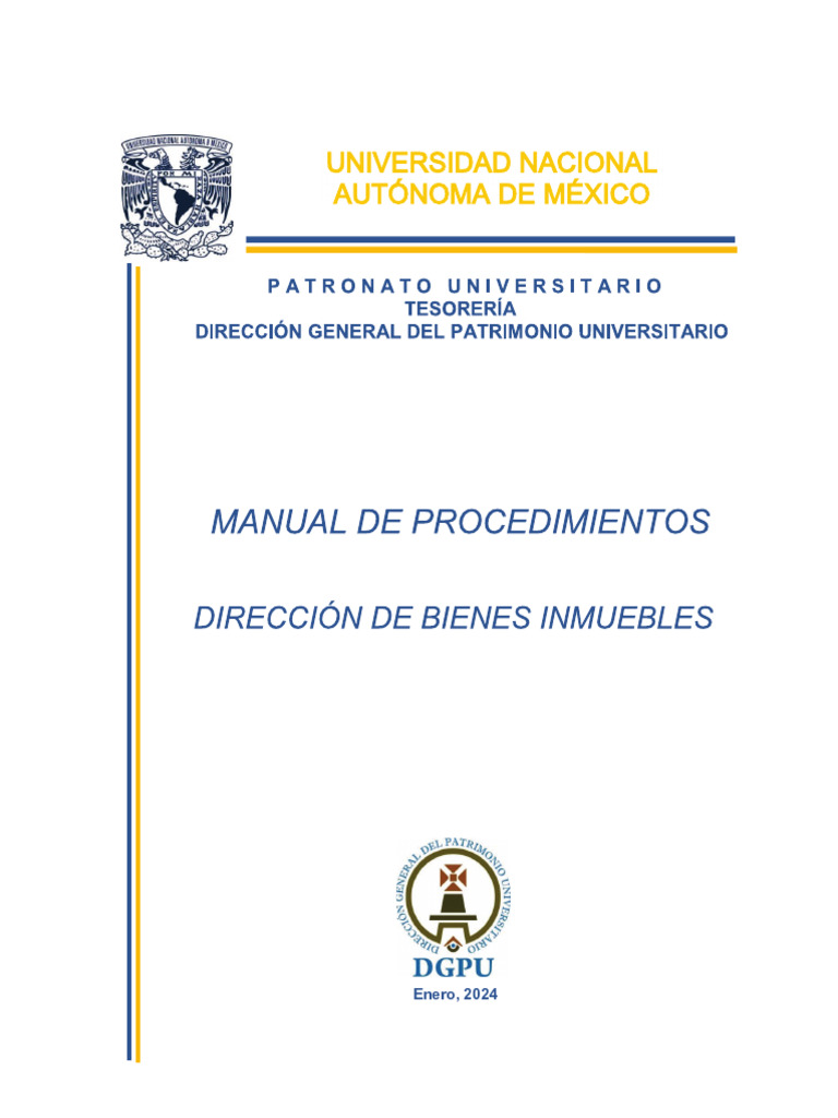Manual Procedimientos DBI | PDF