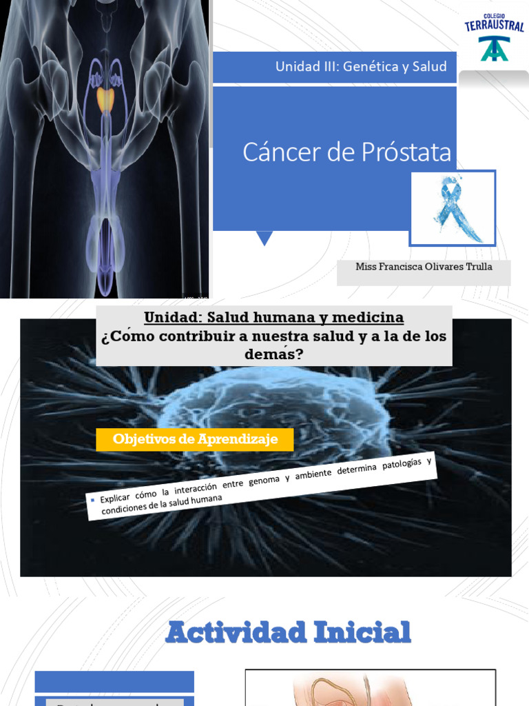 CÃ¡ncer de PrÃ³stata (1) | PDF | Cáncer | Cancer de prostata