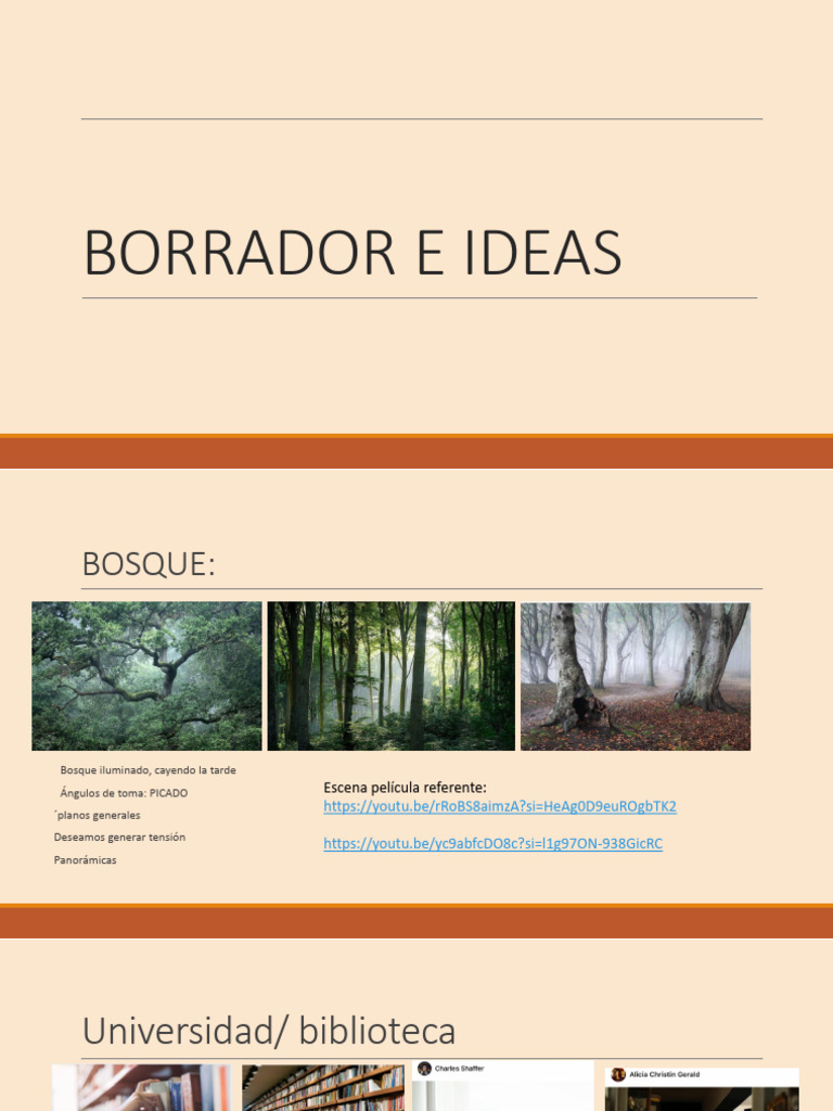 Borrador e Ideas | PDF