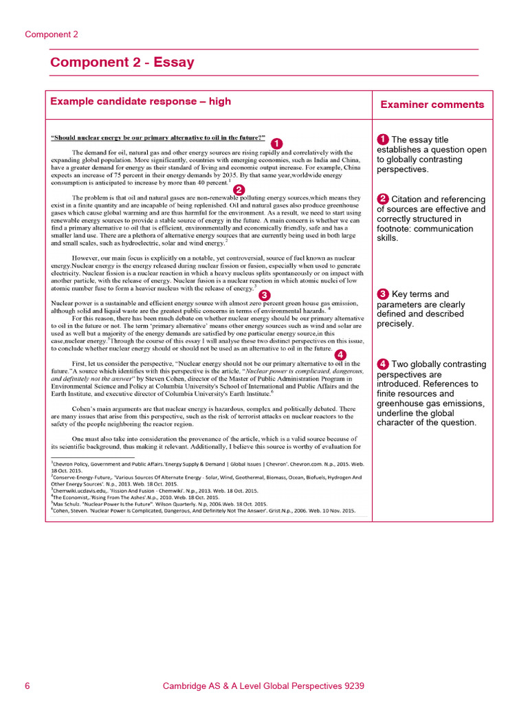 Individual Report Sample | PDF | Essays | Evaluation