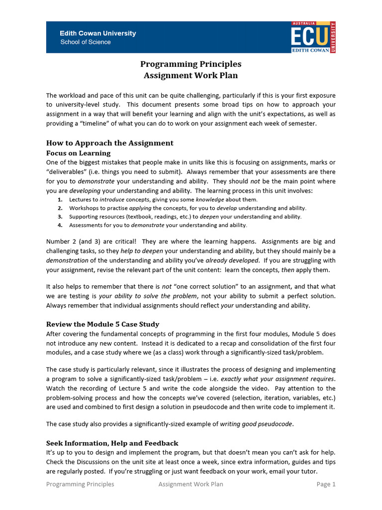 ProgPrinc Assignment Work Plan | PDF | Computer Program | Programming