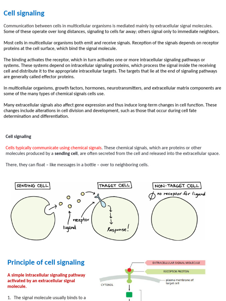 Cell signalling | PDF | Cell Signaling | Signal Transduction
