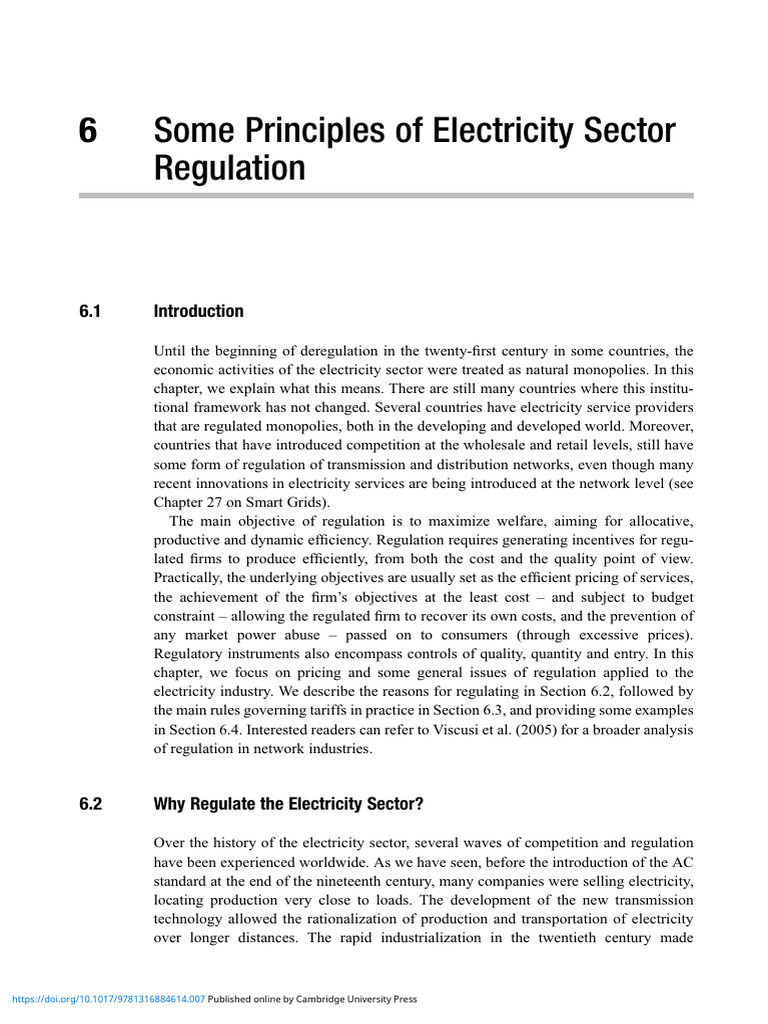 some_principles_of_electricity_sector_regulation | PDF | Monopoly ...