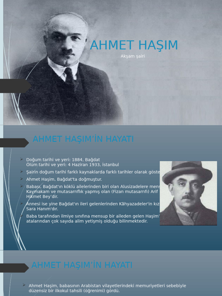 Ahmet Hasim Translated Theme Updated | PDF