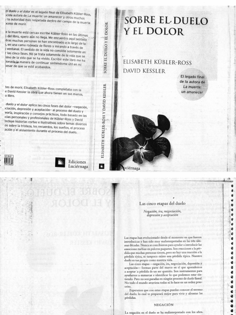 3.2sobre El Duelo y El Dolor | PDF