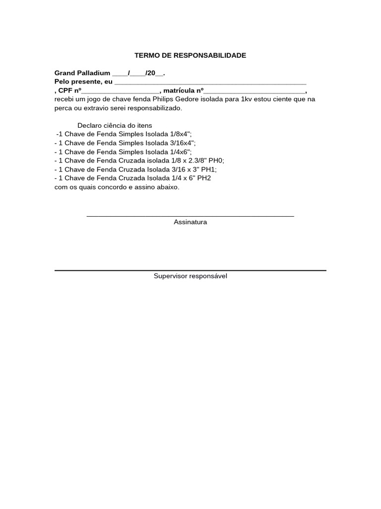 Termo de Responsabilidade Modelo (1) | PDF