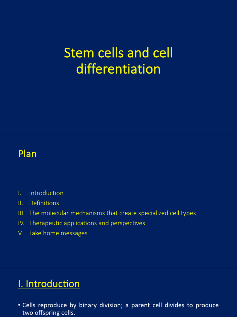 5 - Cellules Souches Et Différenciation Cellulaire | PDF | Cell Potency ...