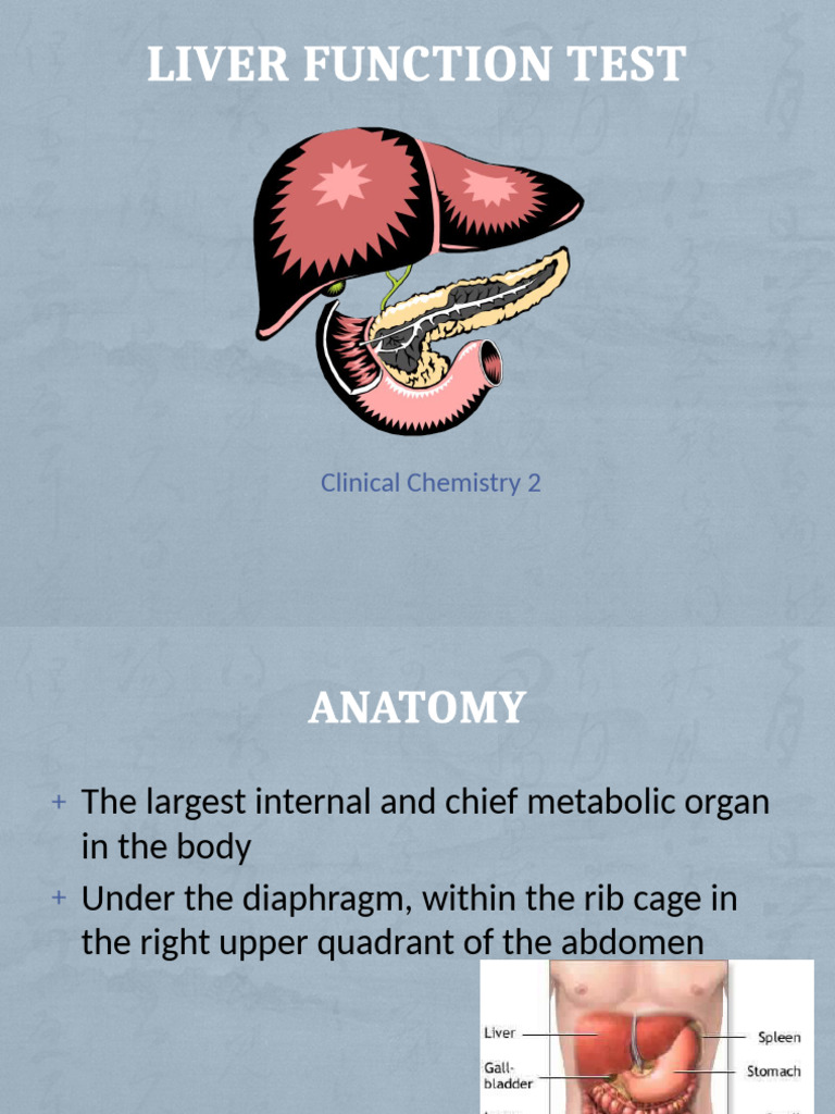 Liver Function Test Overview and Analysis | PDF | Liver | Hepatitis