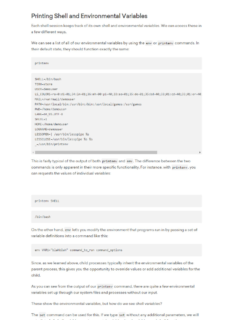 Enviroment Variables | PDF