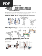 Sample Fitt Plan | PDF