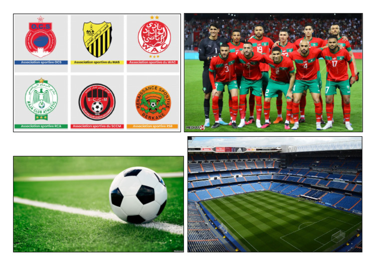 Foot | PDF