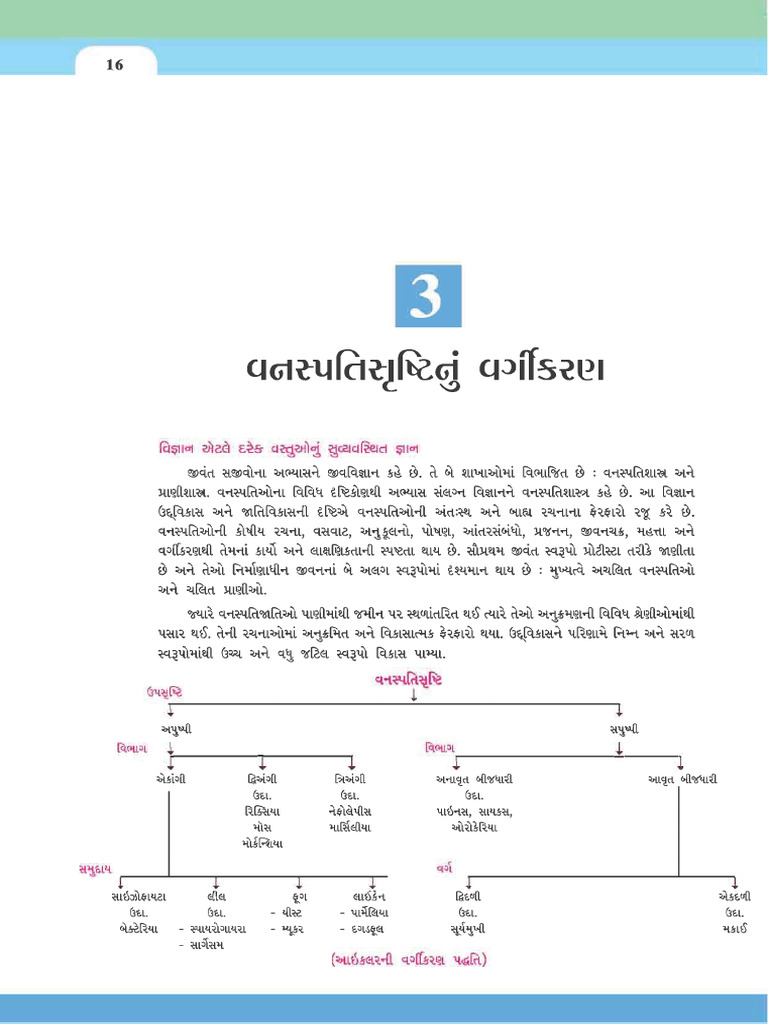 Chapter-3 - Vanaspati Shrushti Nu Vargikaran | PDF